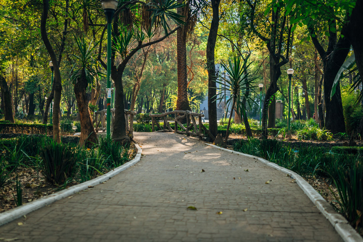 Our Mexico City Experience – neverstark – a photo blog by james jordan